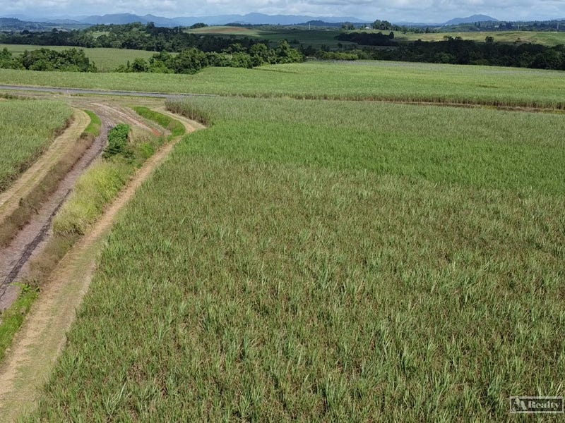 Daradgee - address available on request - Cropping for Sale 700362156 ...