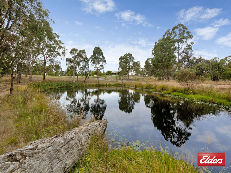 1371 Sutton Road, Sutton, NSW 2620 - realestate.com.au