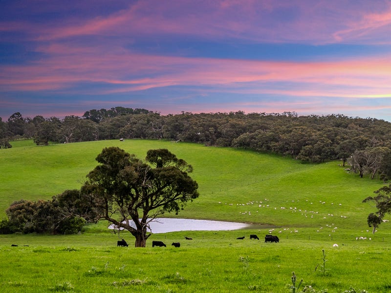 124A Range West Road, Silverton, SA 5204 - realestate.com.au