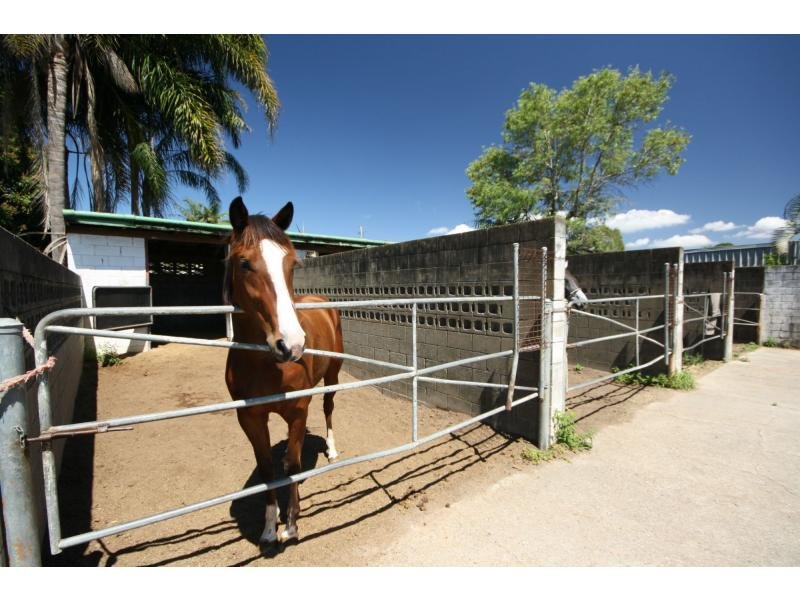 17 Knight Street, Redcliffe, Qld 4020 - Property Details