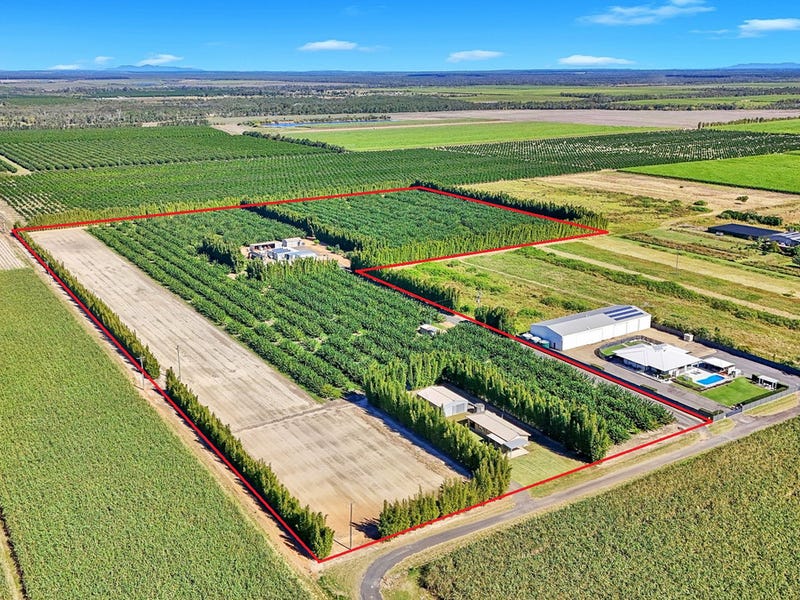 243 Wises Road, Alloway, Qld 4670 - Horticulture for Sale - realestate ...