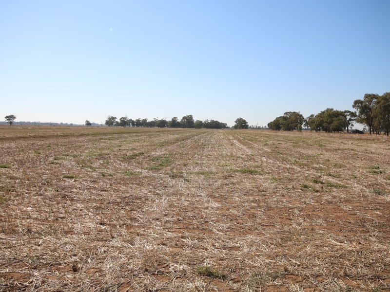 1670 Whinfield Road, Kotta, Vic 3565 - Cropping for Sale - realestate ...