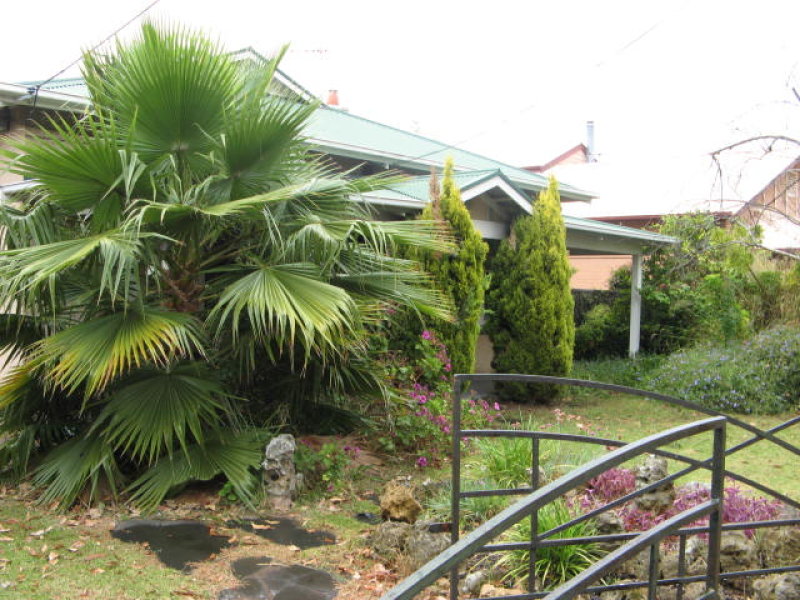 52 Harvey Street, Collinswood, SA 5081 - realestate.com.au