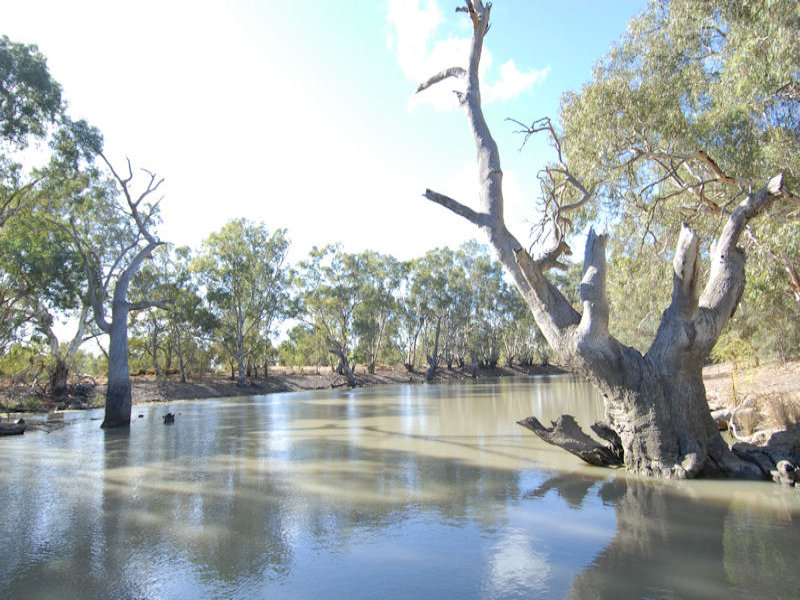 125 Billabong Creek Drive, Conargo, NSW 2710 - Property Details