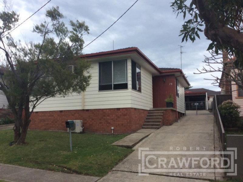 75 Metcalfe Street Wallsend Nsw 2287 Realestate Au