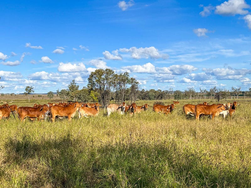 90 Geneva Road, Theodore, Qld 4719 - Property Details