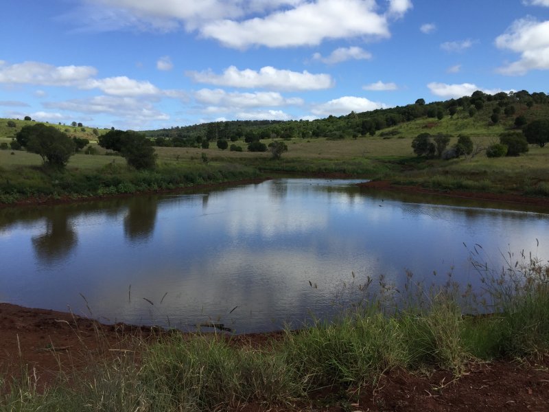 737 Tingoora Charlestown Road, Tingoora, QLD 4608 - realestate.com.au
