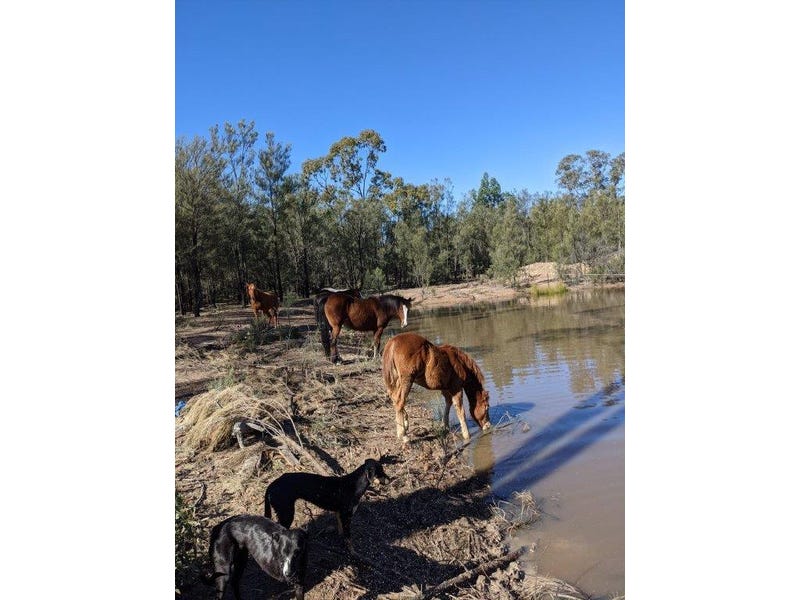 114 Marula Road, Kogan, Qld 4406 - Property Details