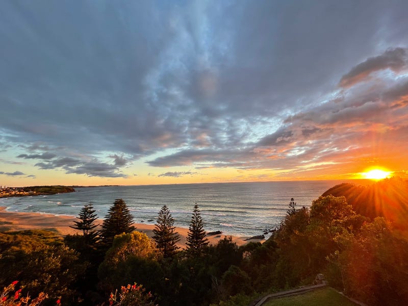 8 Cliff Drive, Kiama Downs, NSW 2533 - realestate.com.au