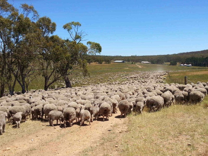 5, 3584 Kings Highway, Bungendore, NSW 2621 - Property Details