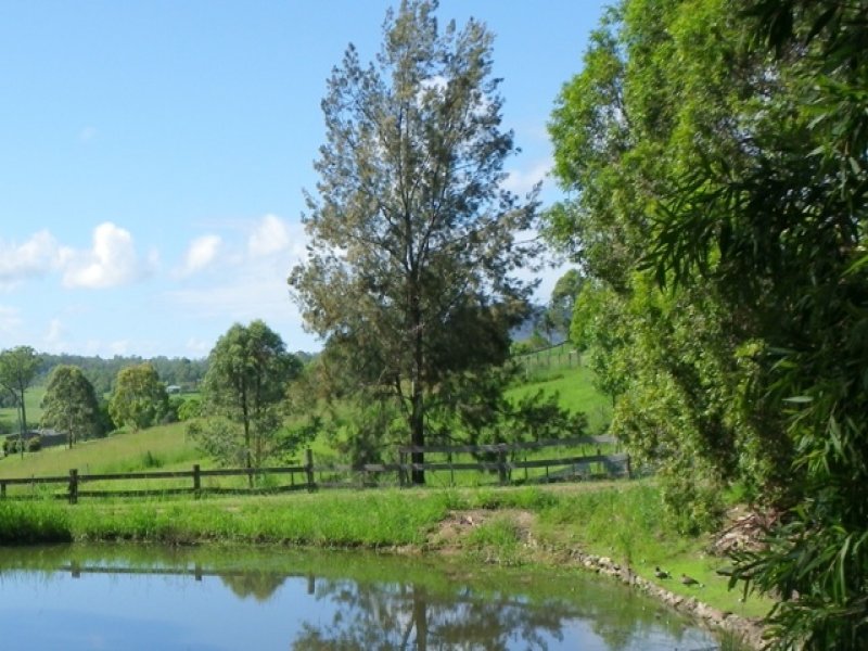 71 Koree Island Road, Beechwood, NSW 2446 - realestate.com.au