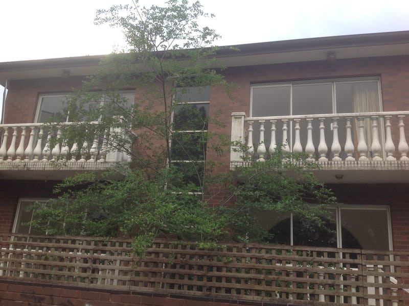 97 Talbot Cres, Kooyong, VIC 3144 - realestate.com.au