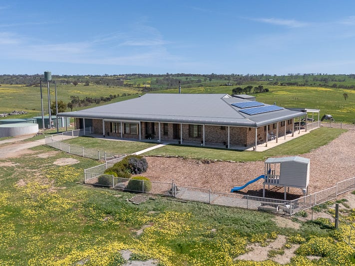 303 Snake Gully Road, Harrogate, SA 5244 - Livestock for Sale ...