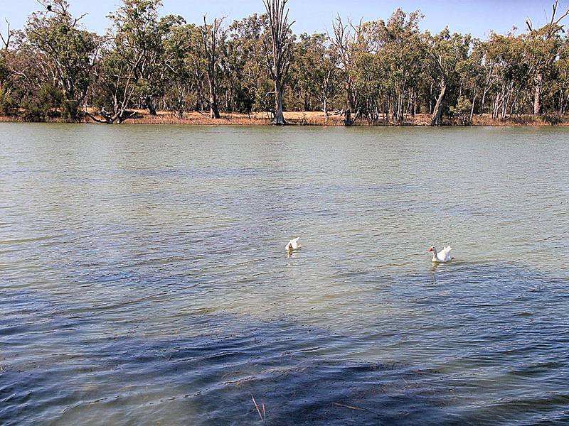 24 River Drive, Buronga, NSW 2739 - Property Details