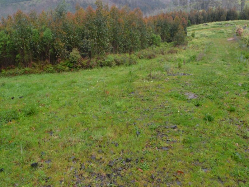 2, Keogels Road, Callignee, Vic 3844 - Property Details