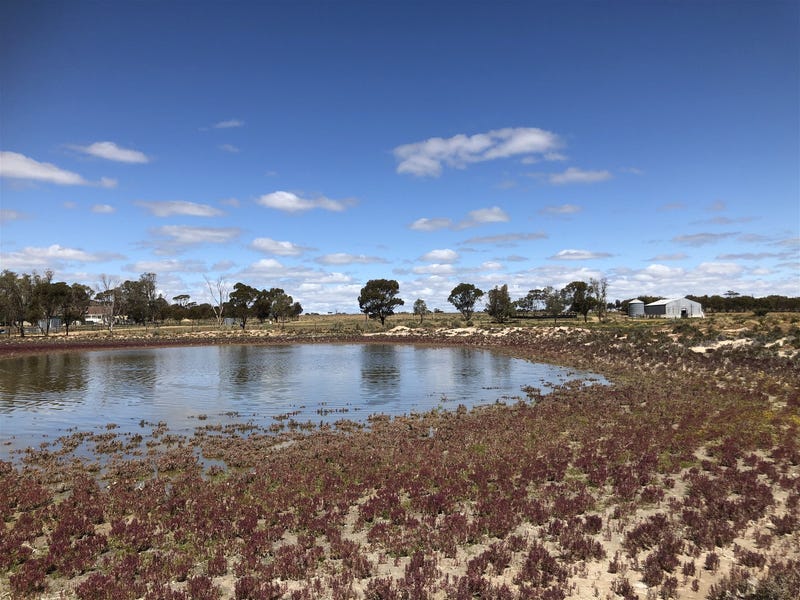 2431 Dowerin-Kalannie Road, Dowerin, WA 6461 - Property Details