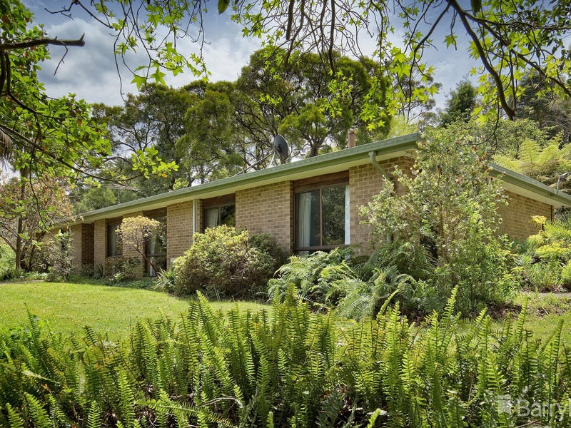 1 Outlook Road, Emerald, VIC 3782 - realestate.com.au
