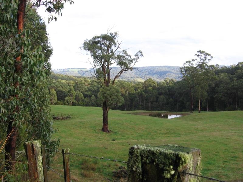 295 Frys Road, Kawarren, Vic 3249 - Property Details