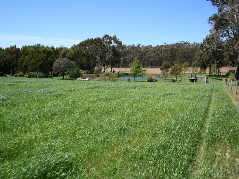 113 Wesley Vale Road, Wesley Vale, TAS 7307 - realestate.com.au