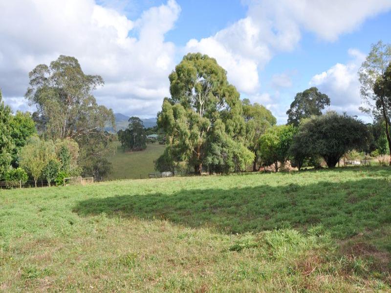 229 Main Neerim Road, Neerim South, VIC 3831 - realestate.com.au