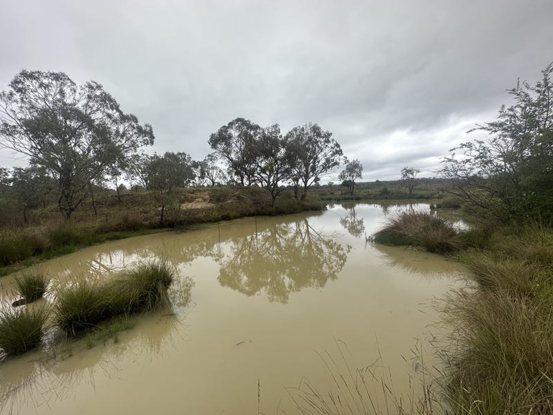 44 Hospital Flat Rd, TINGHA, Inverell, NSW 2360 - Property Details