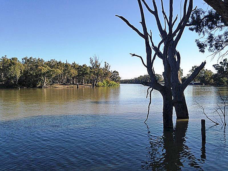 30 River Drive, Buronga, NSW 2739 - realestate.com.au