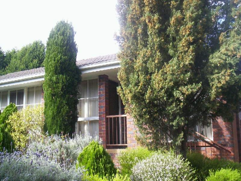 3/16 Finch Street, Notting Hill, VIC 3168 - realestate.com.au