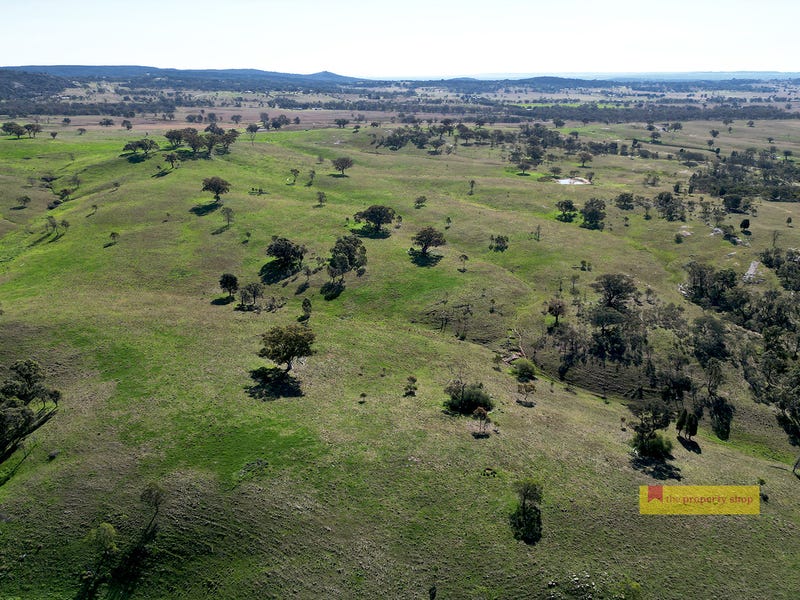 2778 Ulan Road, Mudgee, NSW 2850 - Lifestyle for Sale - realestate.com.au