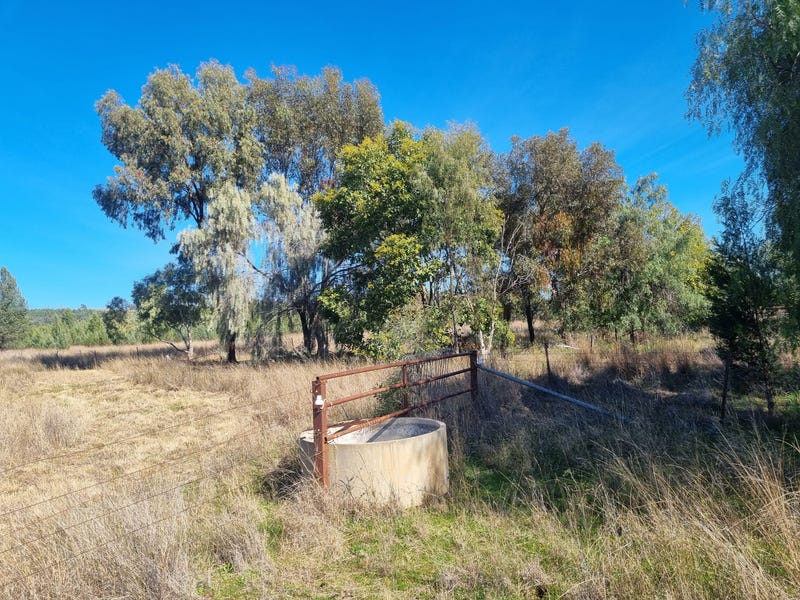 Lot 103 Inlet Road, Attunga, NSW 2345 - Property Details