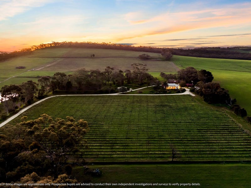 389 Moppa Springs Road, Moppa, SA 5355 - realestate.com.au
