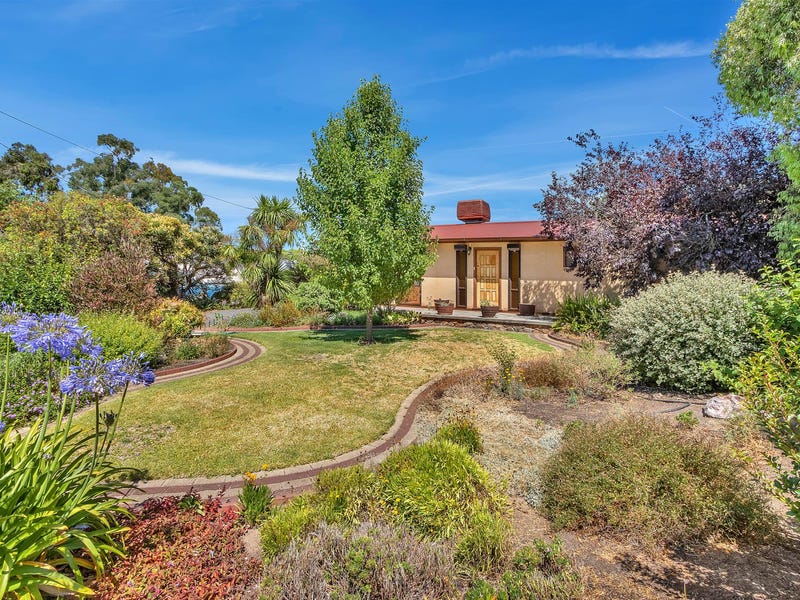 33 Neil Avenue, Nuriootpa, SA 5355 - realestate.com.au