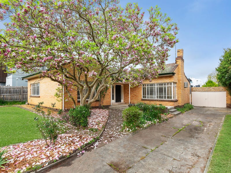 67 Wills Street, Kew, VIC 3101 - realestate.com.au