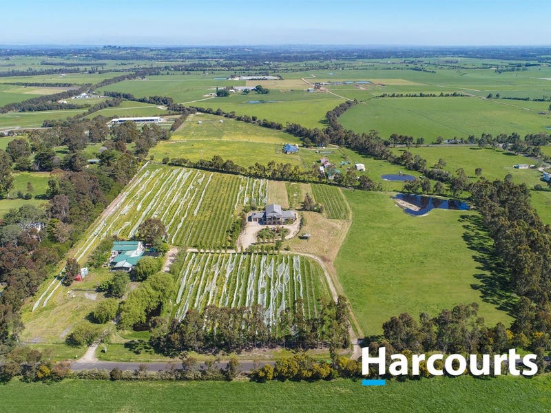 43 School Road, Labertouche, VIC 3816 - realestate.com.au