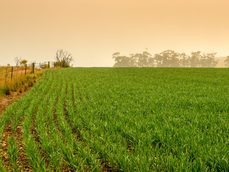 R M Williams Way, Jamestown, SA 5491 - Property Details