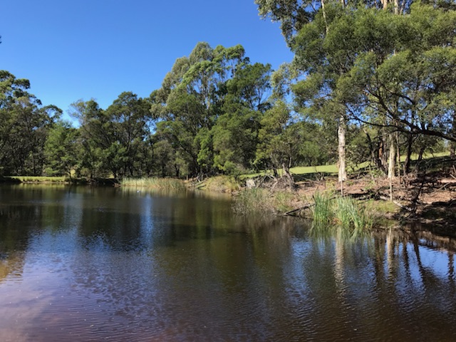 92 Israels Road, Brogo, NSW 2550 - Property Details