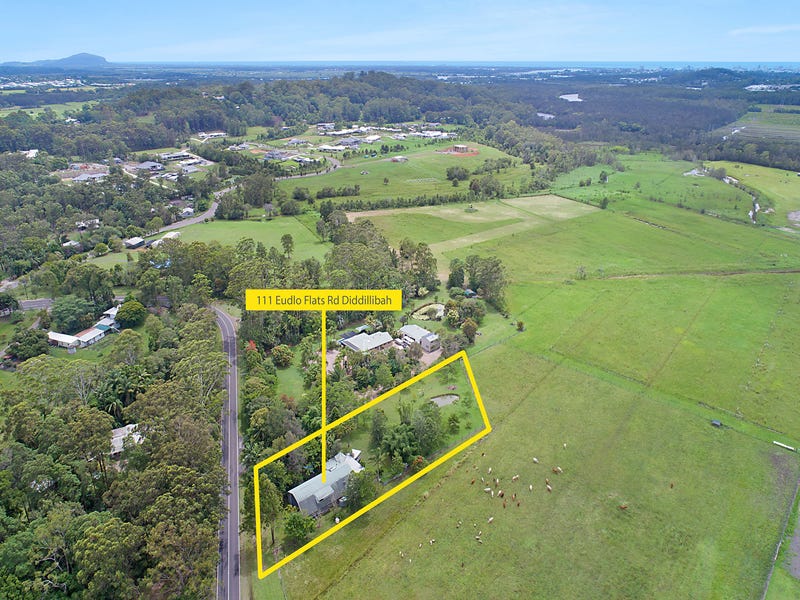 111 Eudlo Flats Road, Diddillibah, QLD 4559 - realestate.com.au