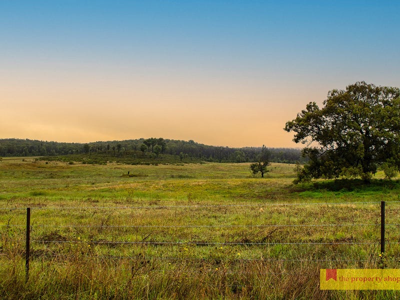 308 Turill Bus Route, Turill, NSW 2850 - Property Details