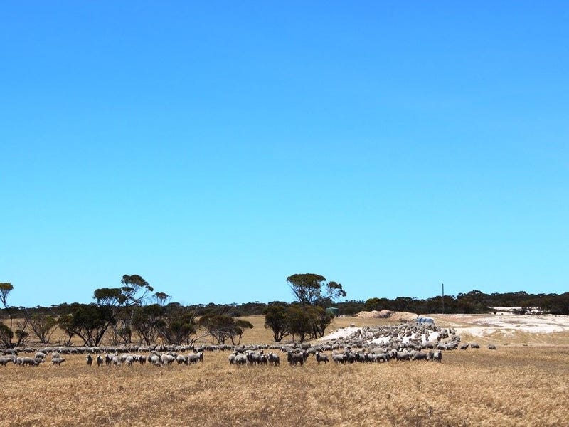 ' Cowcher ', Pingrup, WA 6343 - Property Details