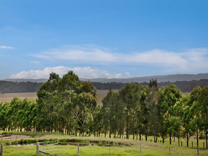 20 Warrigal Close, Brandy Hill, NSW 2324 - realestate.com.au
