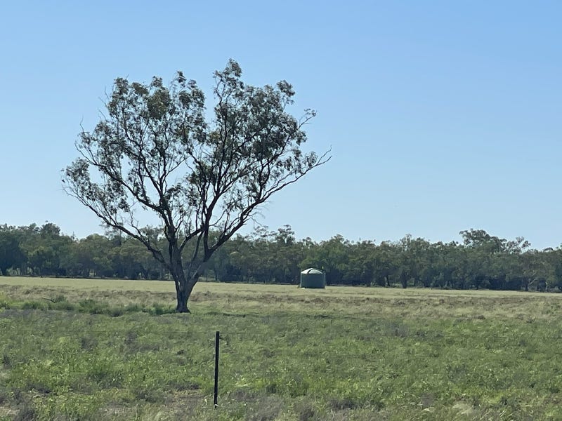 Rural properties for Sale in Brewarrina, NSW 2839 - realestate.com.au
