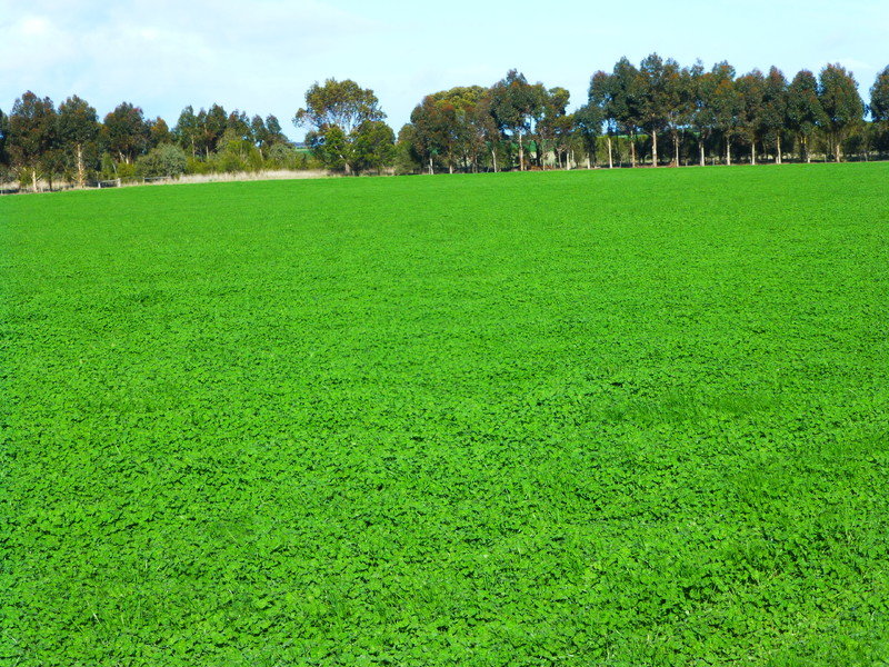 415 South Barunah Road, Wingeel, Vic 3321 - Property Details