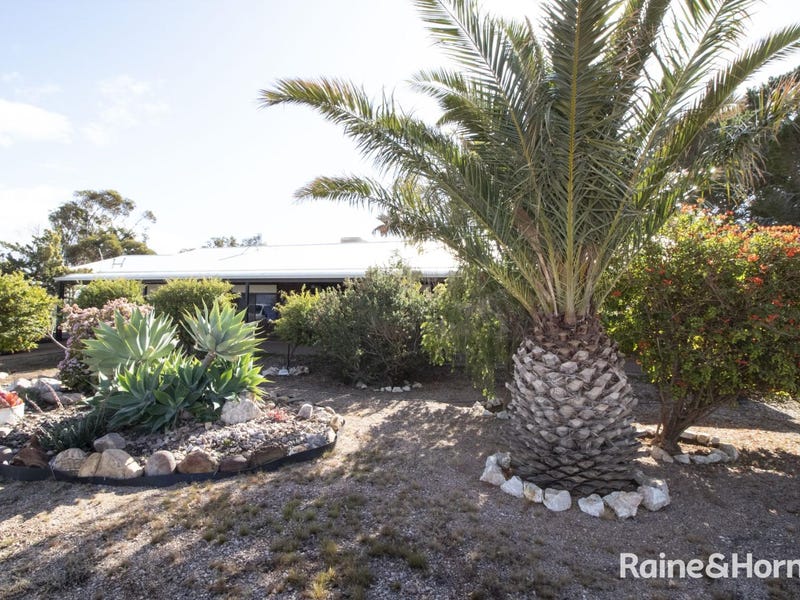 405 Port Paterson Road, Port Paterson, SA 5700 - realestate.com.au