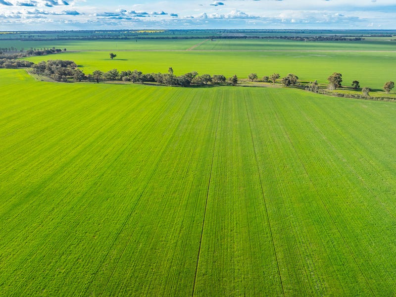 Rural properties for Sale in Albury - Greater Region, NSW (+2 locations ...