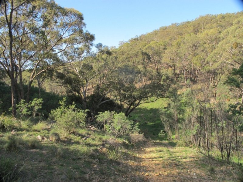 Lot 196 Triangle Swamp Road, Mudgee, NSW 2850 - Property Details