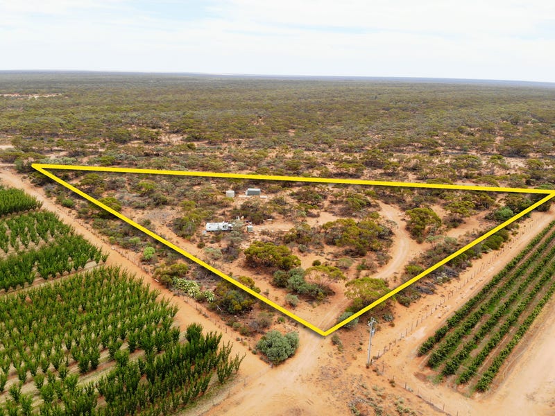 386 Ral Ral Avenue, Renmark North, SA 5341 - realestate.com.au