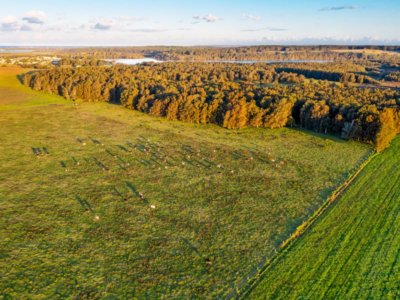 1170 Greenwell Point Road, Pyree, NSW 2540 - Property Details