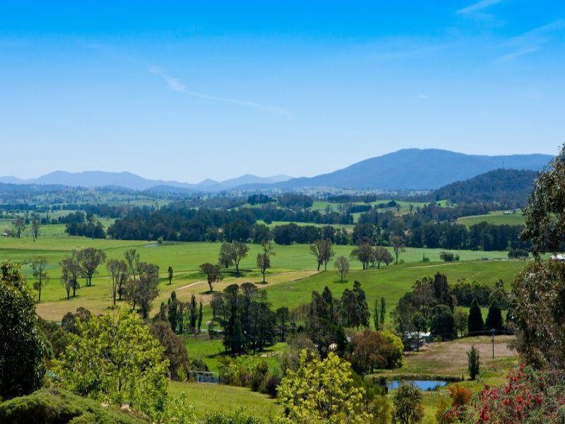 42 D'Arcy Lane, Jellat Jellat, NSW 2550 - realestate.com.au