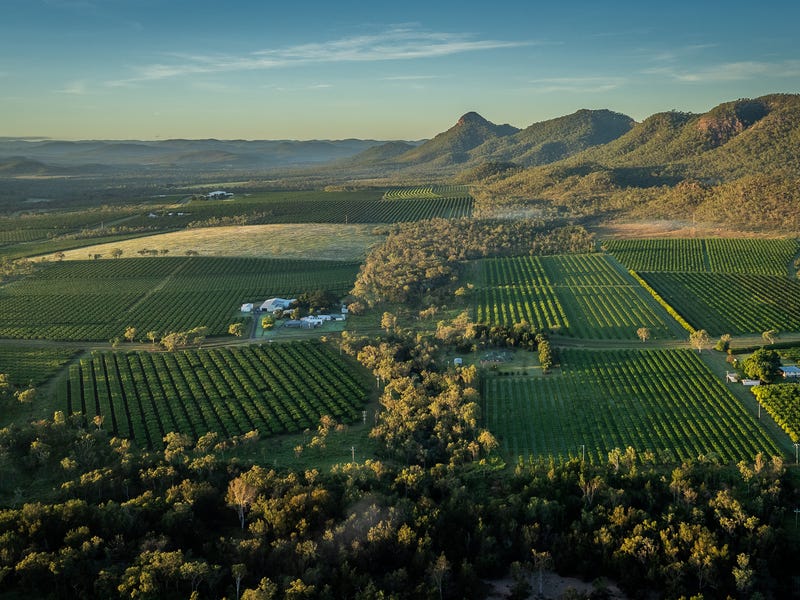 BLS Farming, 85 Schincariol Road, Dimbulah, Qld 4872 - Horticulture for ...