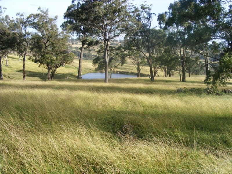 1319 Tablelands Road, Red Range, NSW 2370 - realestate.com.au