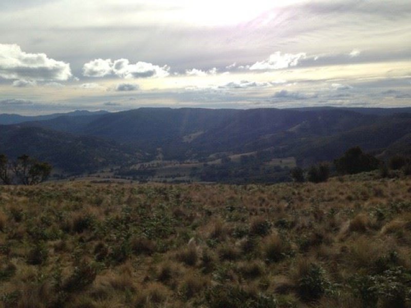 . "Morrisons Tops" Pages Creek Rd, Ellerston via, Scone, NSW 2337 ...